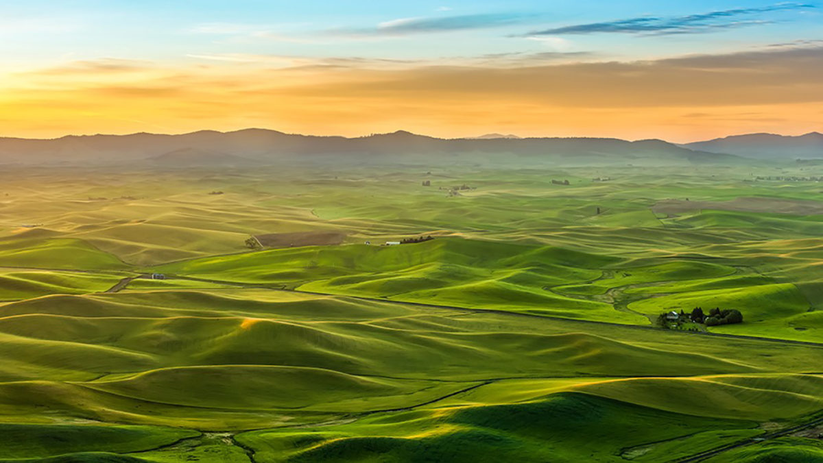 Palouse | FORE Magazine