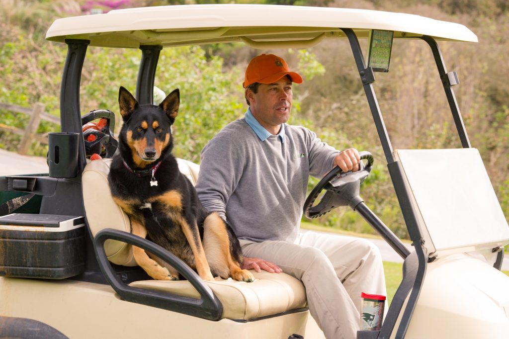 The Golf Dogs of Southern California: Can’t Live Without ‘Em. And Who’d ...