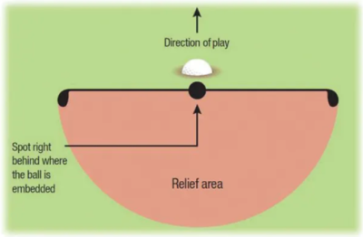 Embedded Ball - FORE Magazine
